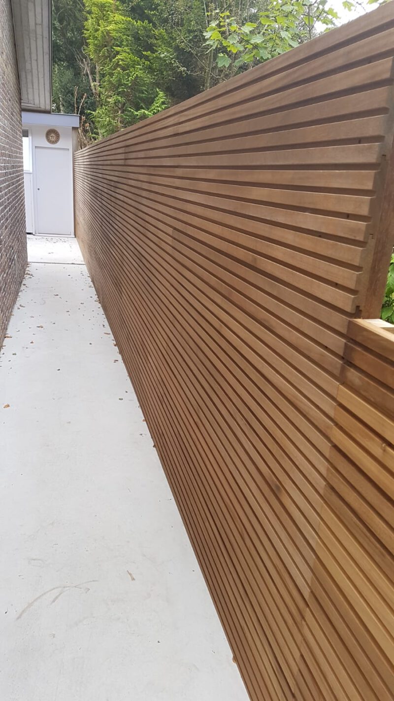 Natuurlijke schutting of erfafscheiding - Blog Kars en Stoop Hoveniers